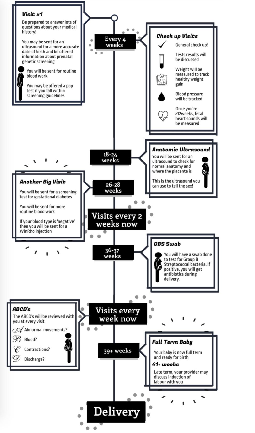 Prenatal appointments: when to see a doctor when pregnant. – Life of Dr ...